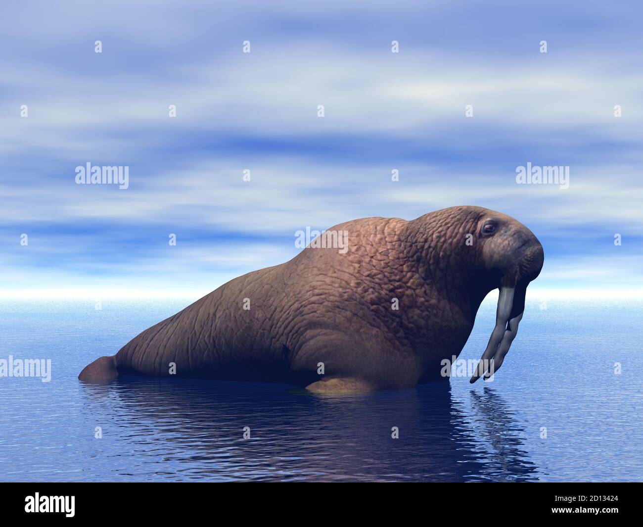 Walrus skin hi-res stock photography and images - Alamy