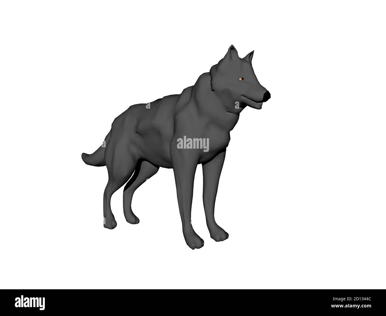 dangerous wolf with dark fur Stock Photo - Alamy