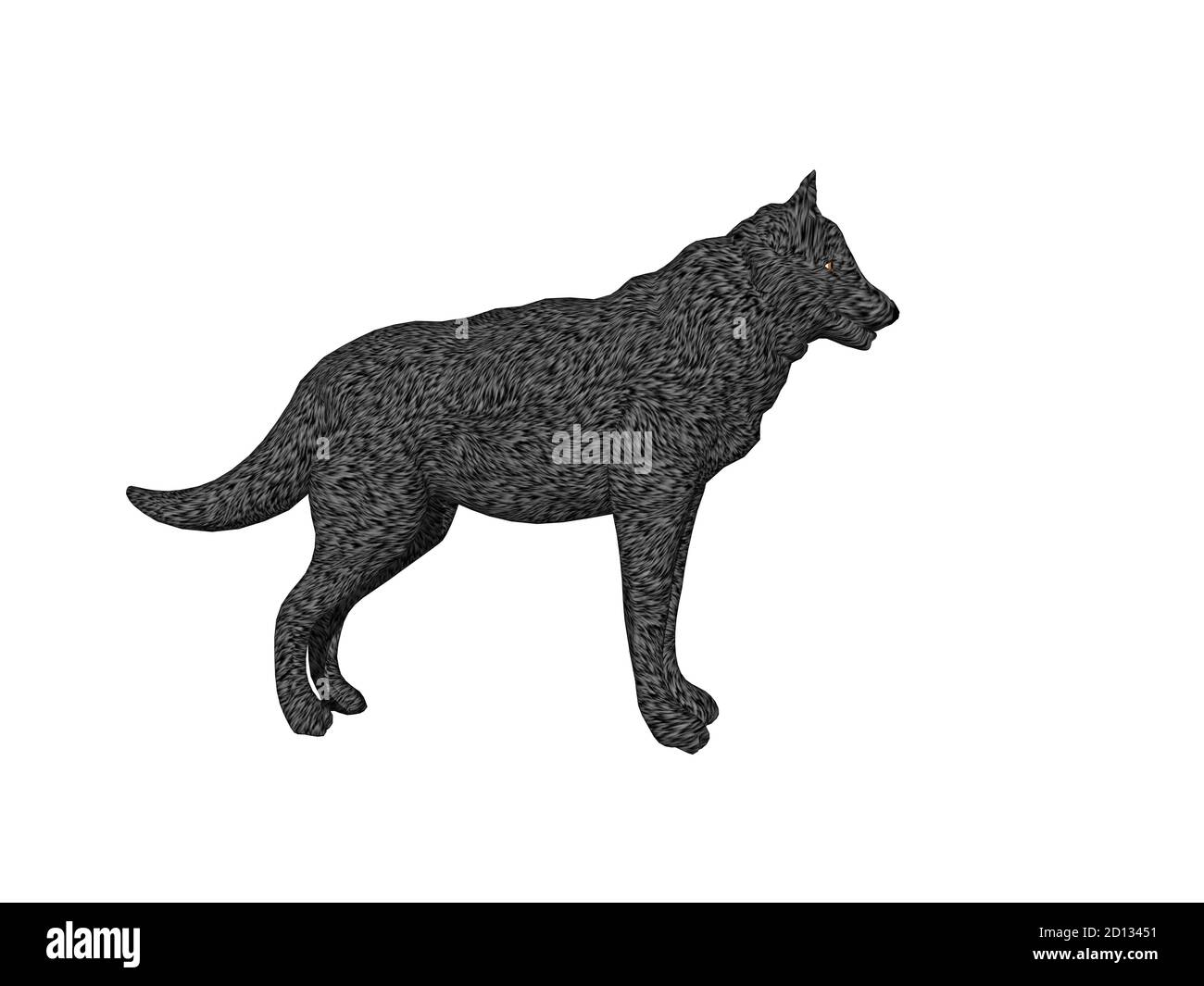 dangerous wolf with dark fur Stock Photo - Alamy