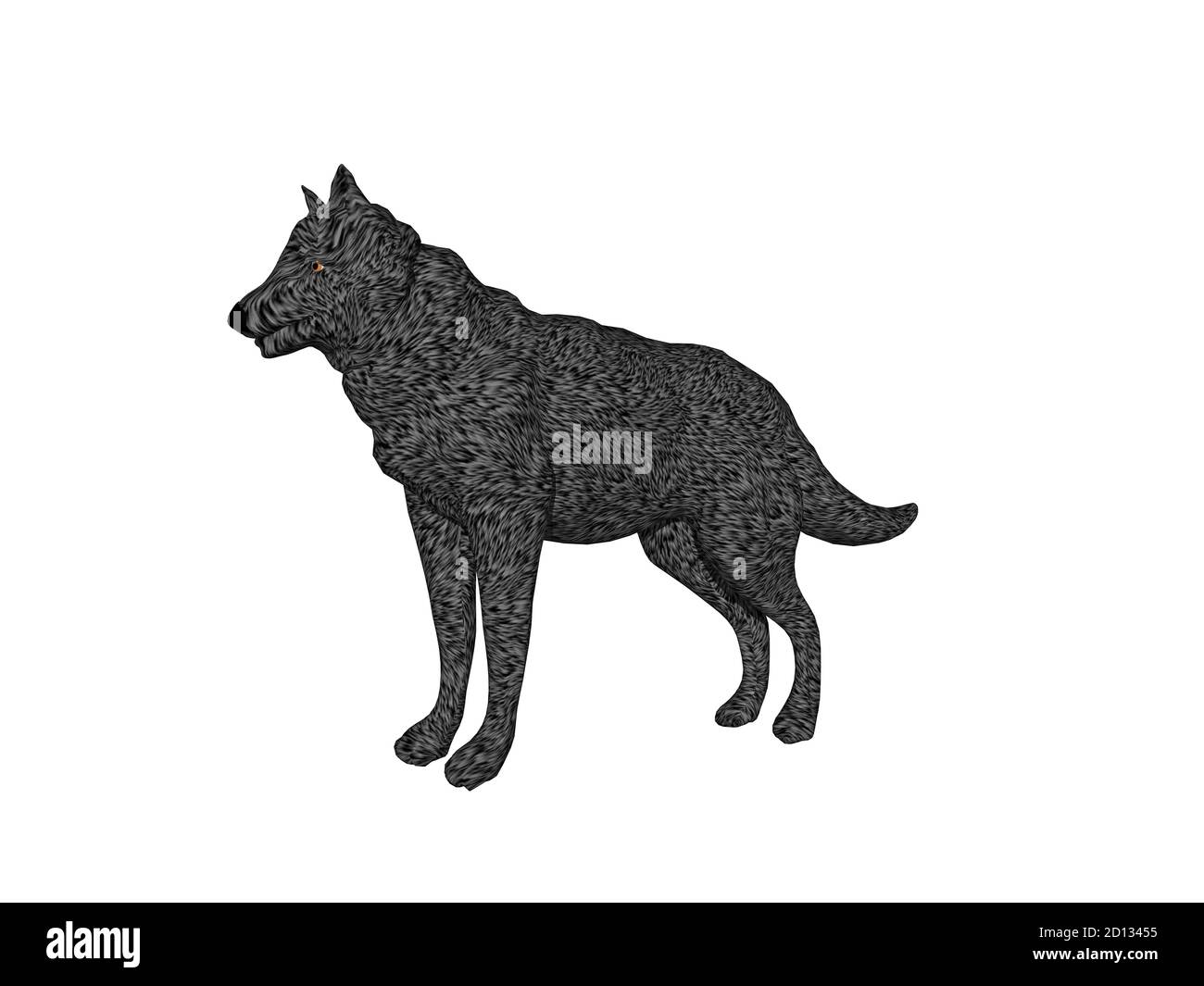 dangerous wolf with dark fur Stock Photo - Alamy