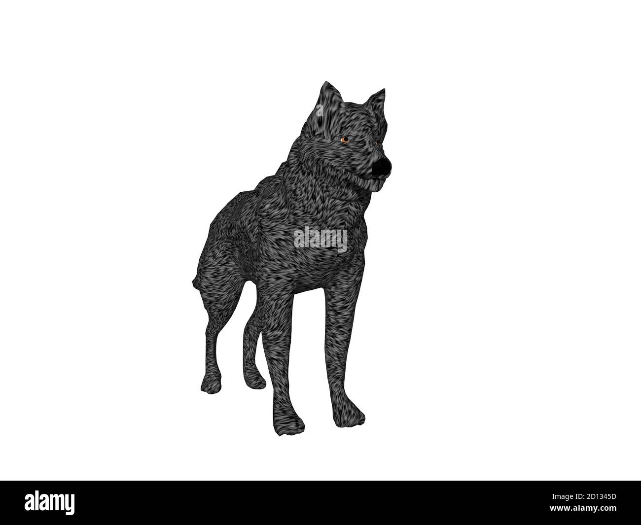 dangerous wolf with dark fur Stock Photo - Alamy