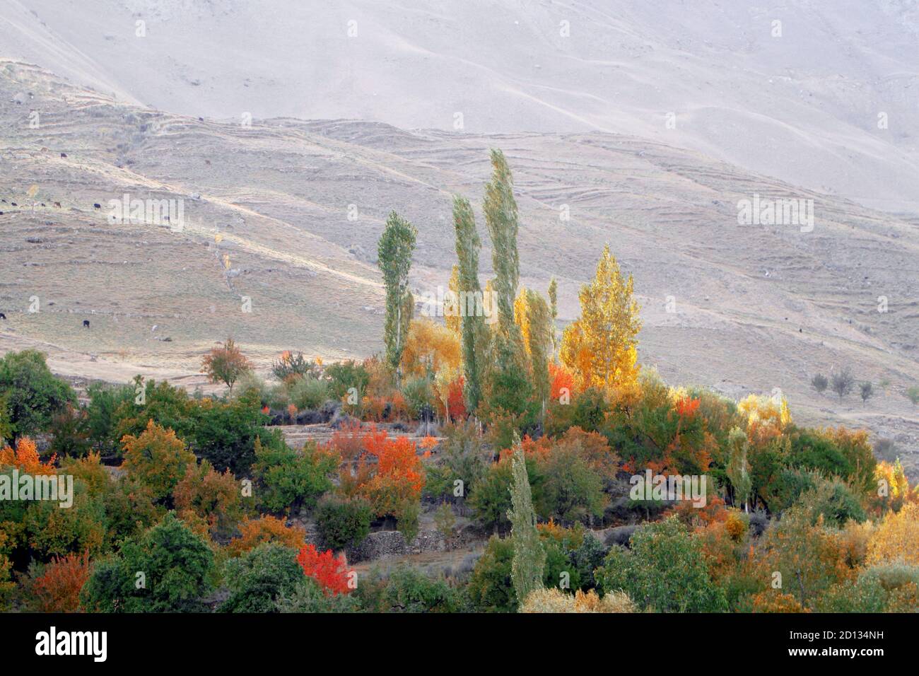 landscape photos of norhtern areas of gilgit baltistan in autumn season ...