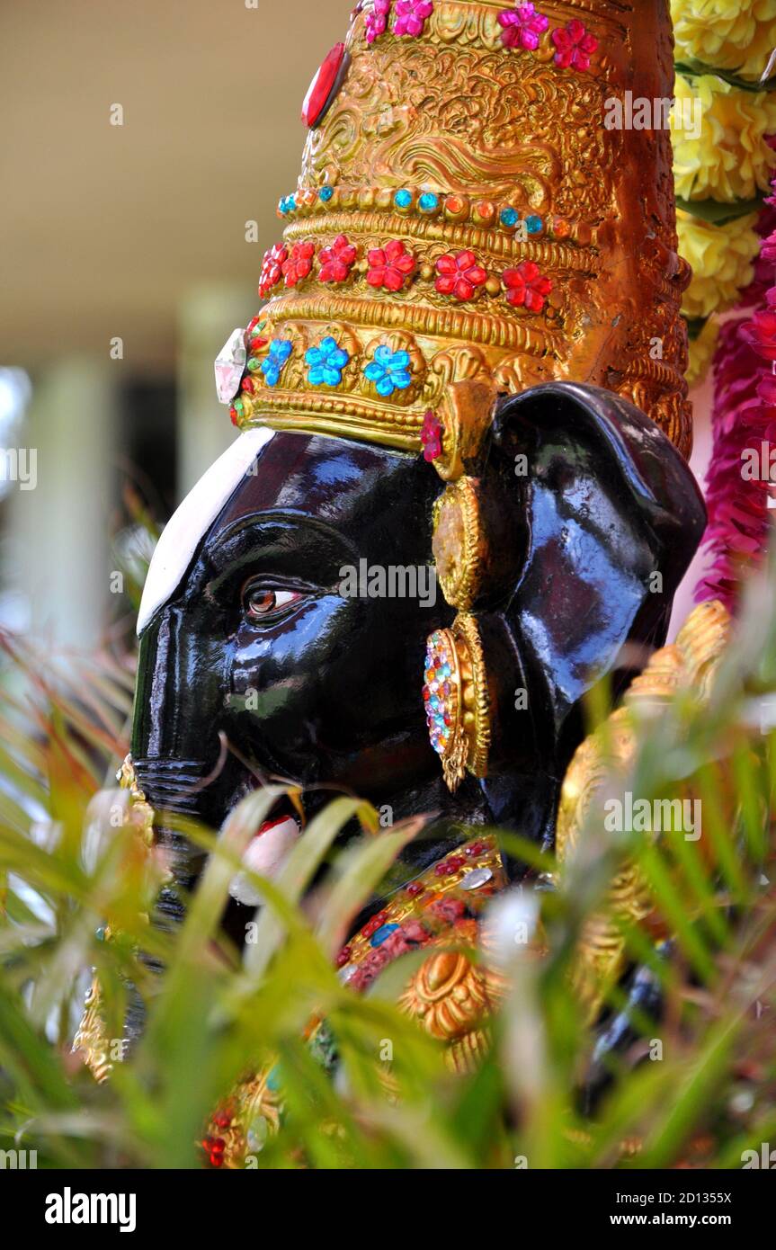 The Lord Ganesh, the god in the Hindu religion Stock Photo - Alamy