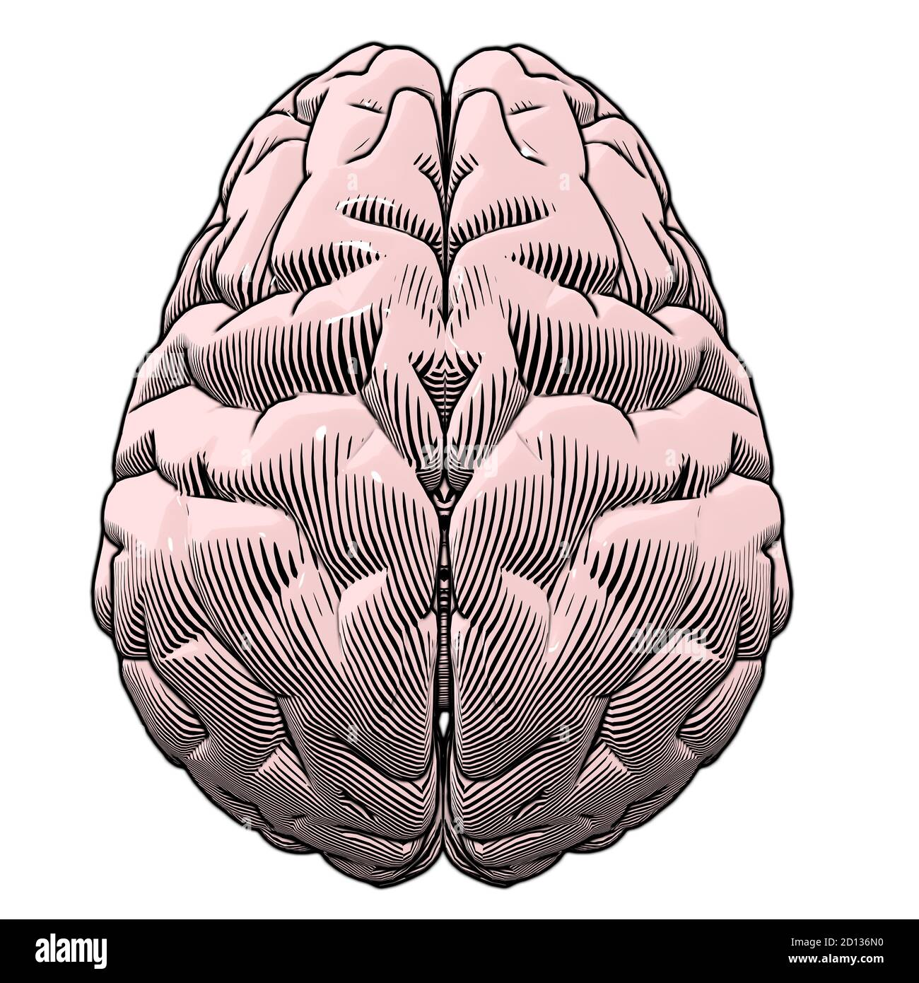 Idea man brain Cut Out Stock Images & Pictures - Alamy