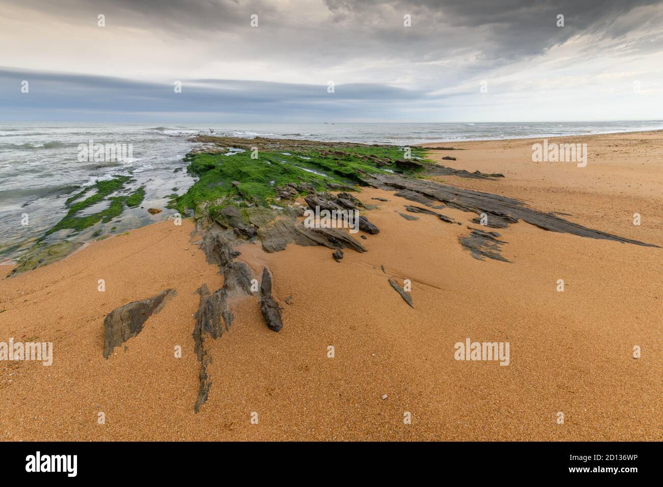 Sand beach among rocks in a summer morning in France Stock Photo - Alamy