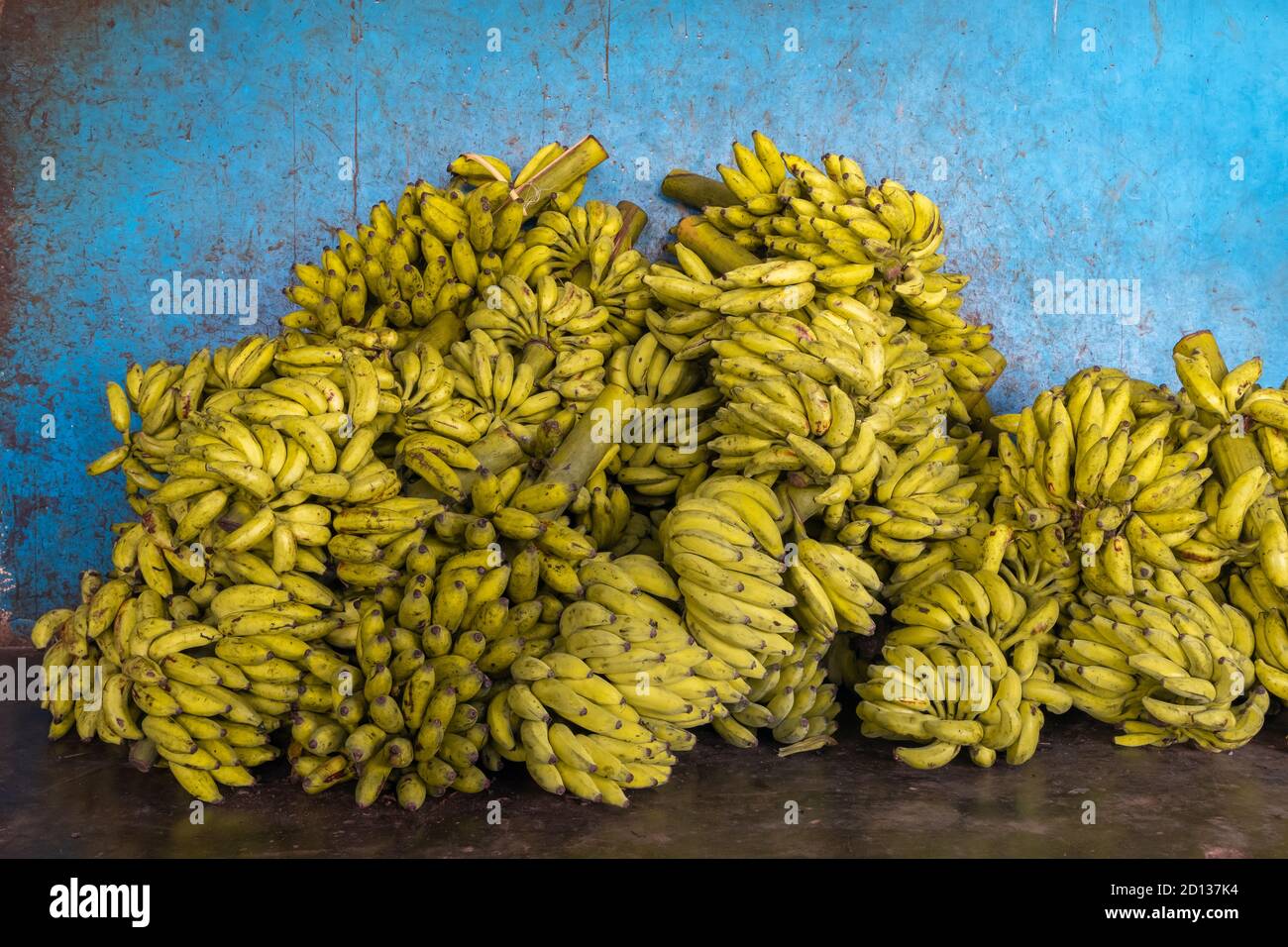Indian fruit banana hi-res stock photography and images - Alamy