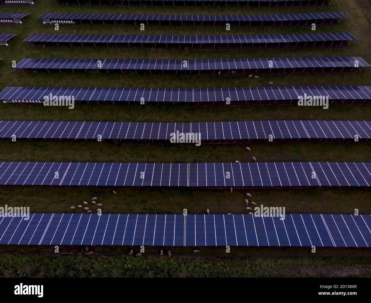 Holland photovoltaic solar cells hi-res stock photography and images ...