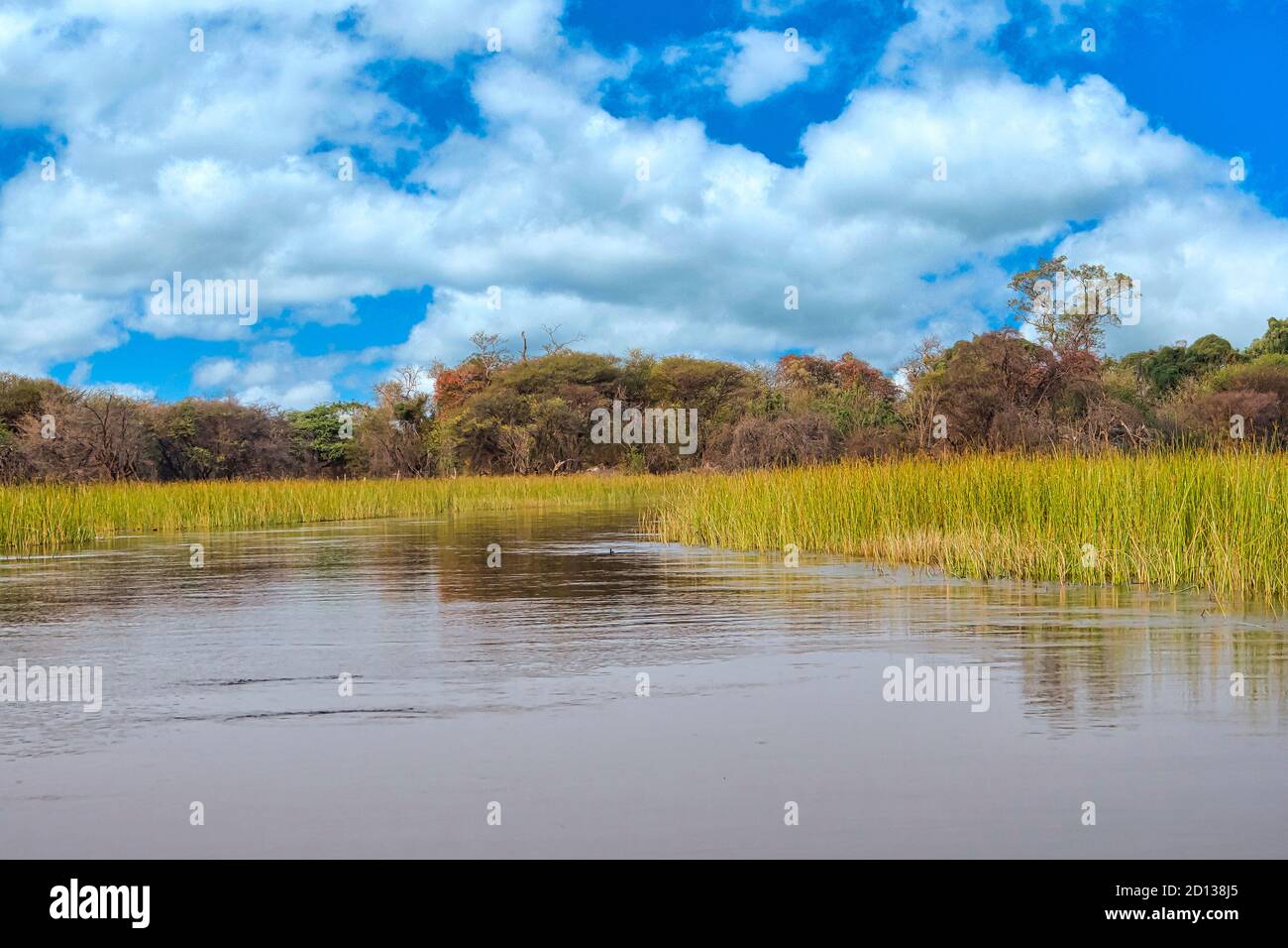 Okavango Wetlands, Okavango Delta, UNESCO World Heritage Site, Ramsar ...
