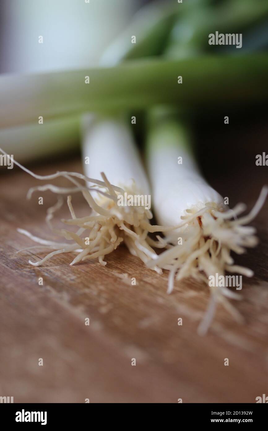 Spring onion roots hi-res stock photography and images - Alamy
