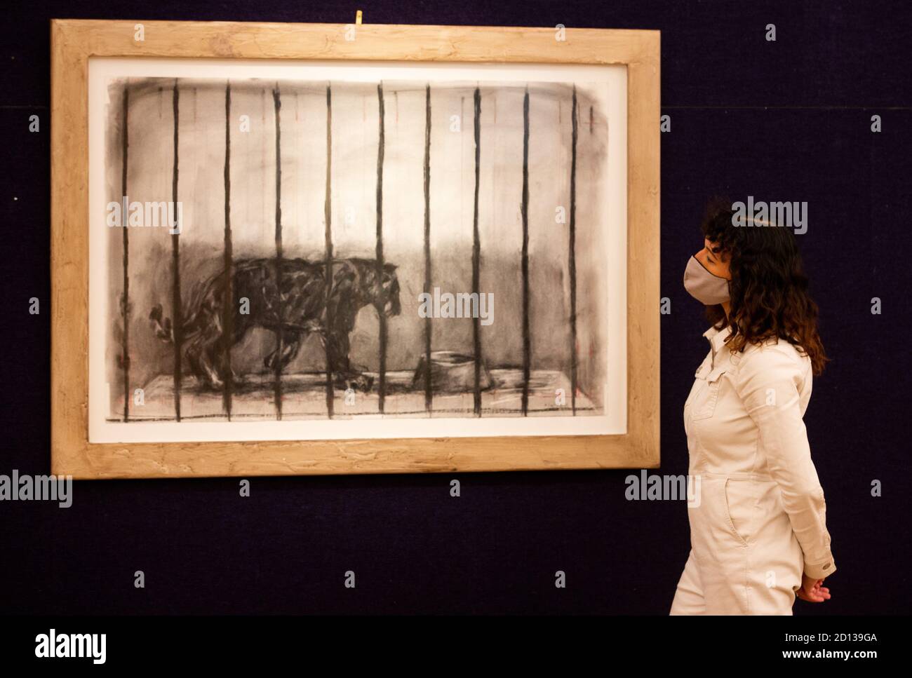 William kentridge hi-res stock photography and images - Alamy