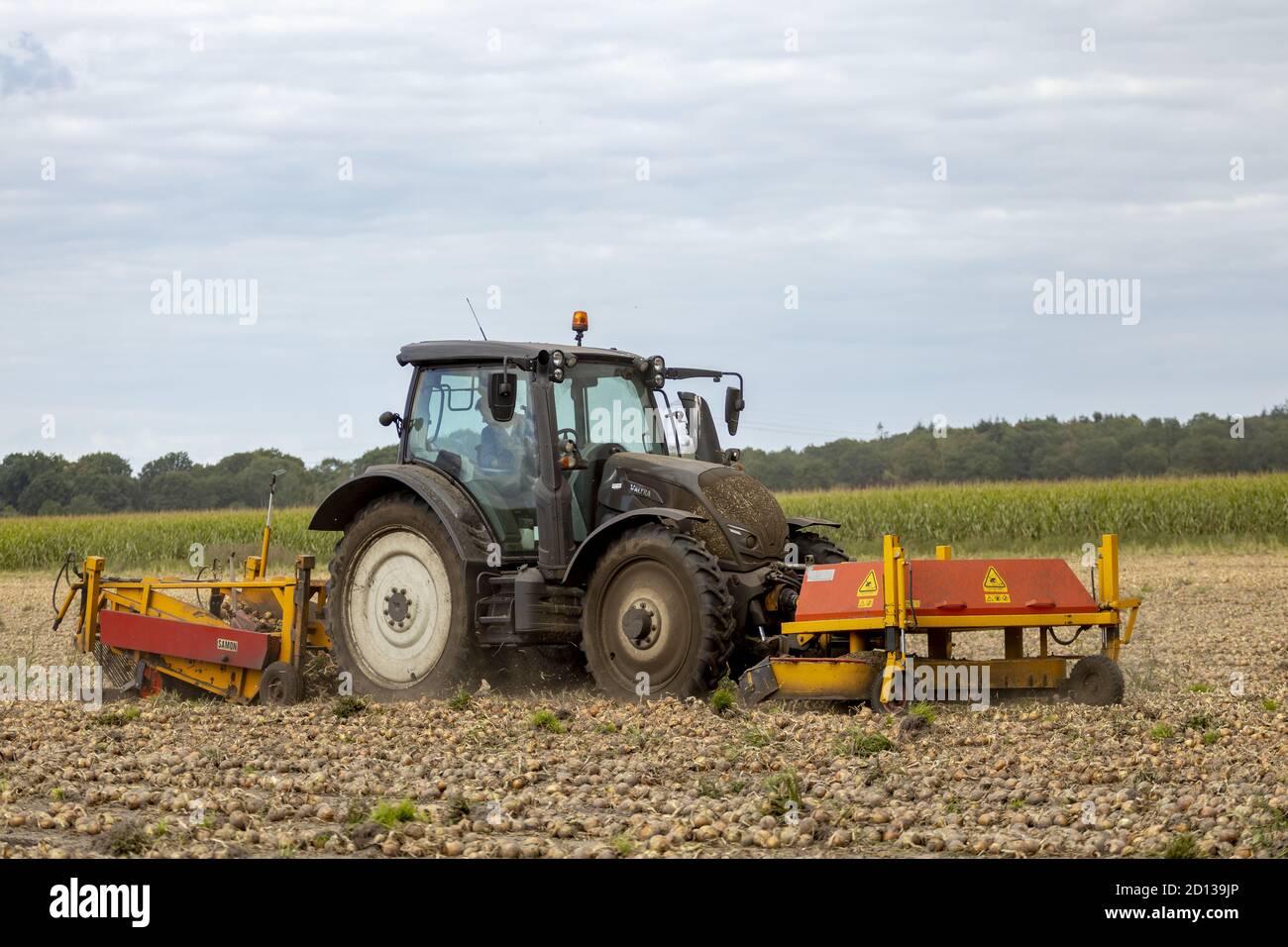 Tractor with onion grubbing machines Stock Photo - Alamy