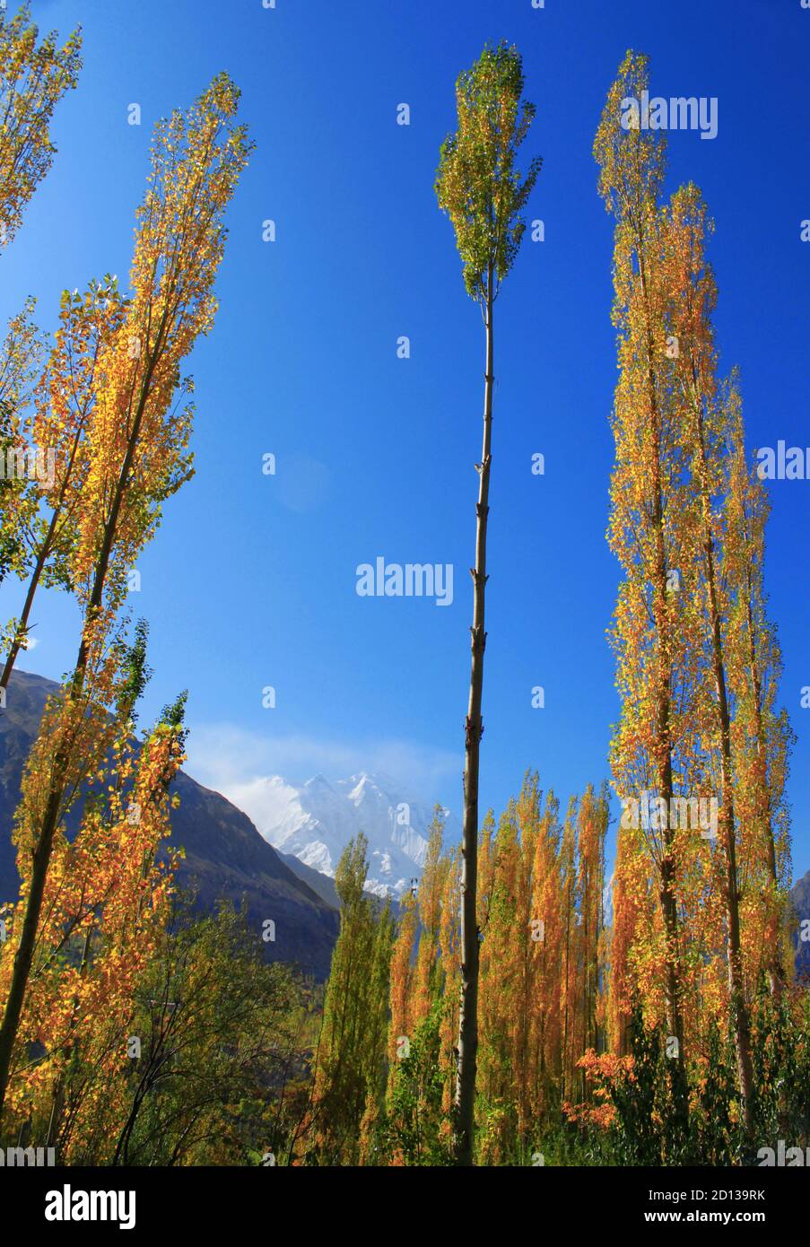 landscape photos of norhtern areas of gilgit baltistan in autumn season ...