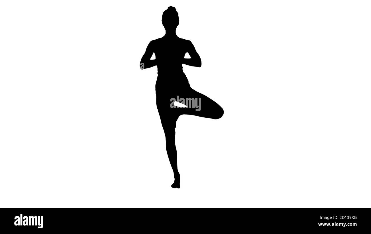 Silhouette Tree pose, standing on one leg, hands in Namaste, pra Stock ...