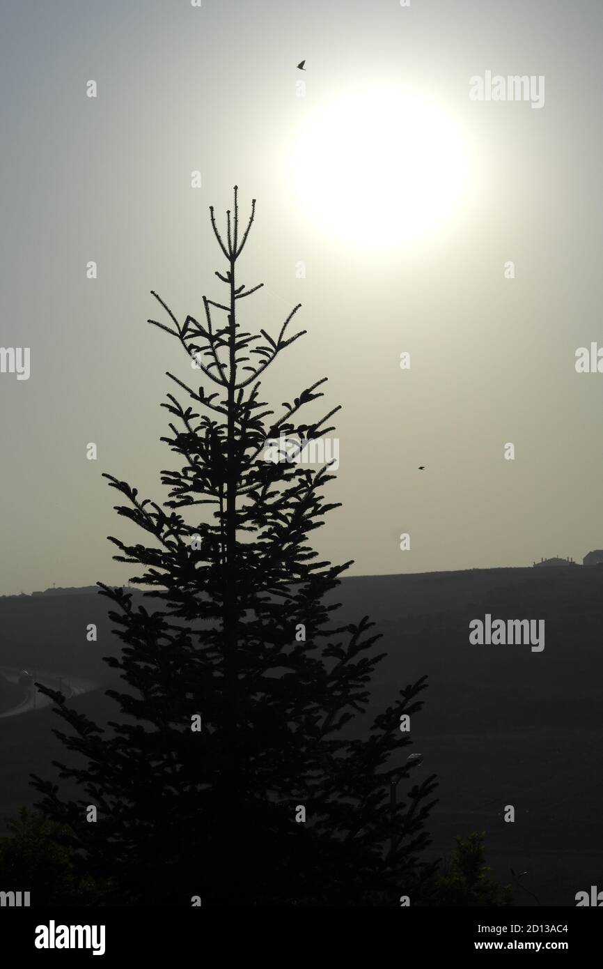 Under sun hi-res stock photography and images - Alamy