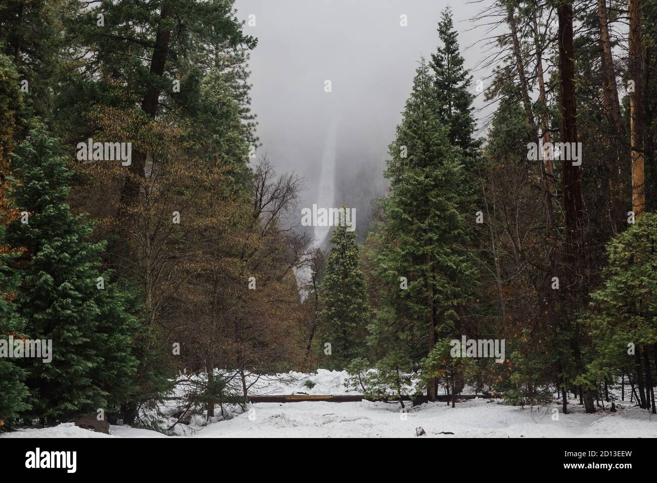 Yosemite falls surrounded by trees under a cloudy sky in Yosemite ...