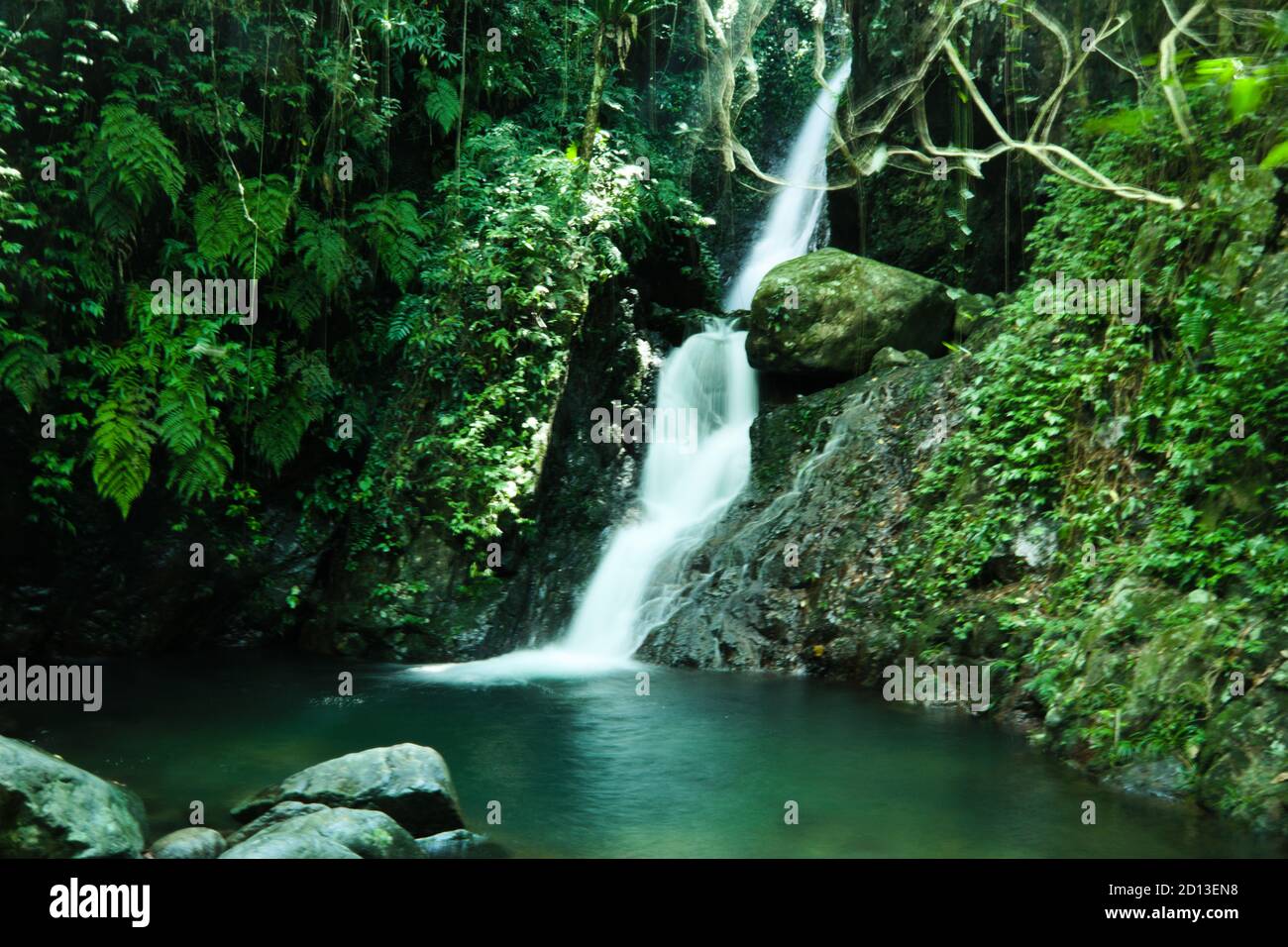 Hong kong wilderness hi-res stock photography and images - Alamy