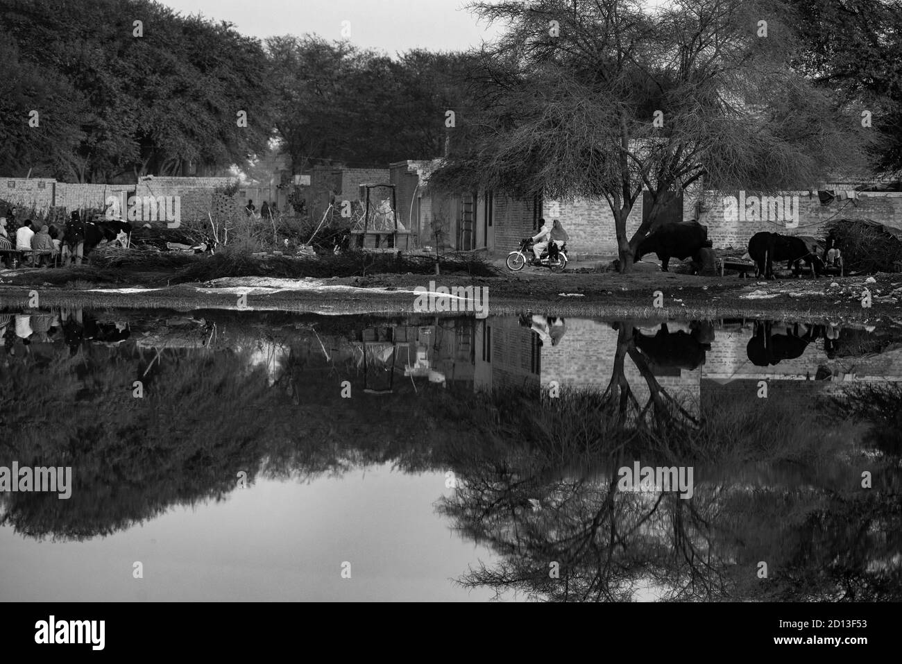 village life in Sindh Pakistan Stock Photo - Alamy