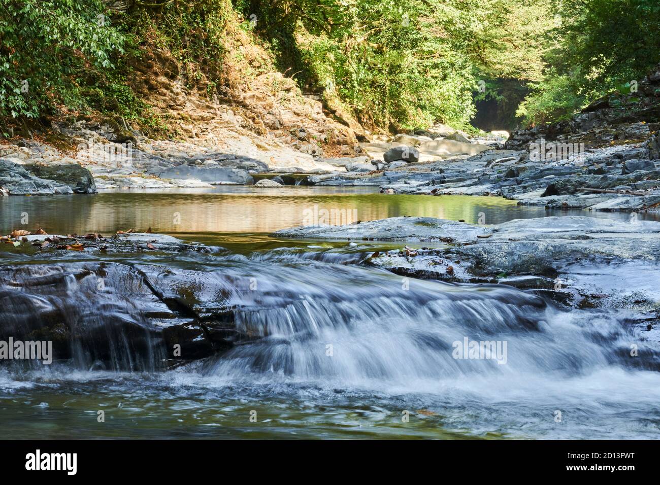 cascade of small waterfalls and pools on a mountain stream in a wooded ...
