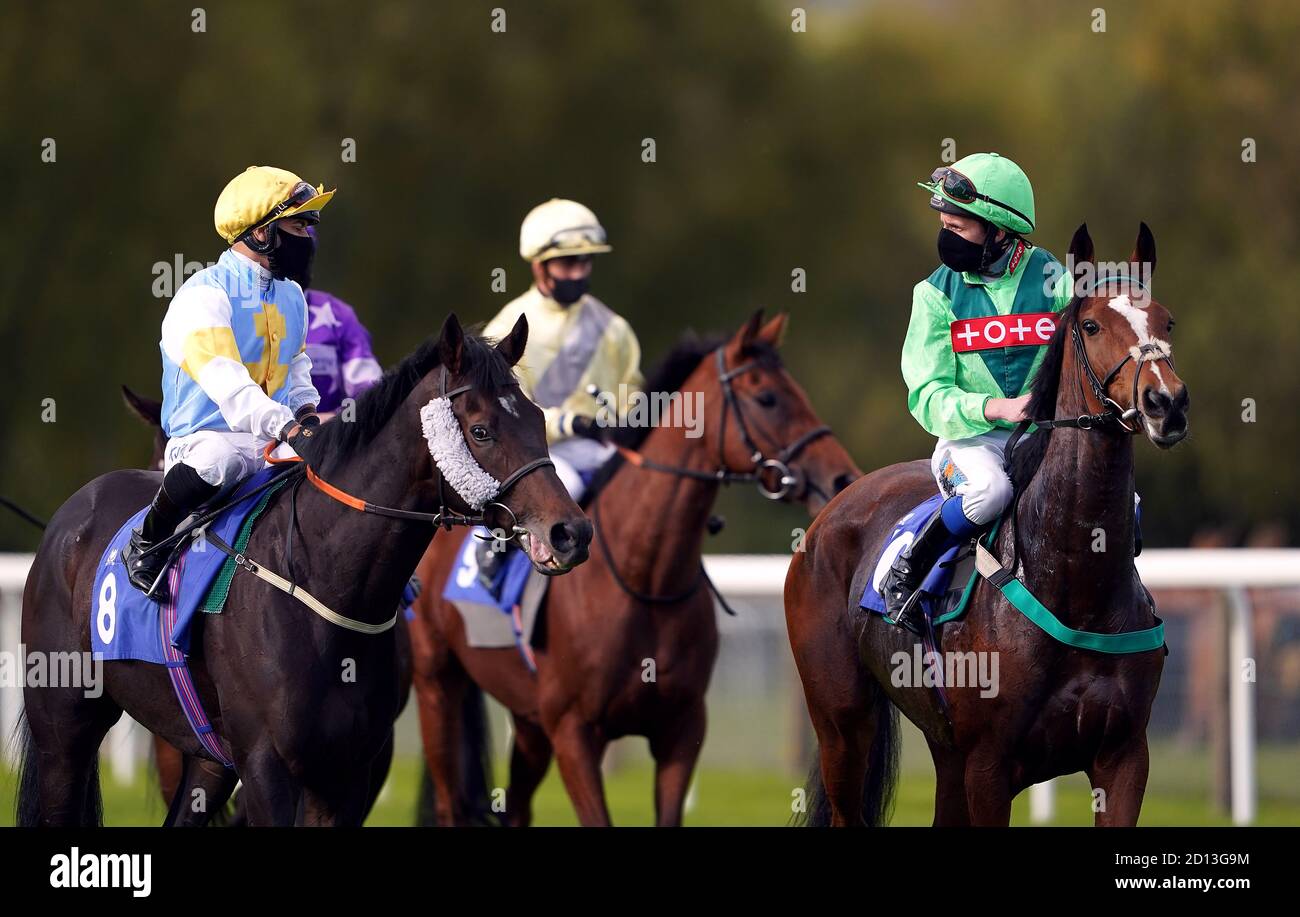 Call my bluff horse hi-res stock photography and images - Alamy
