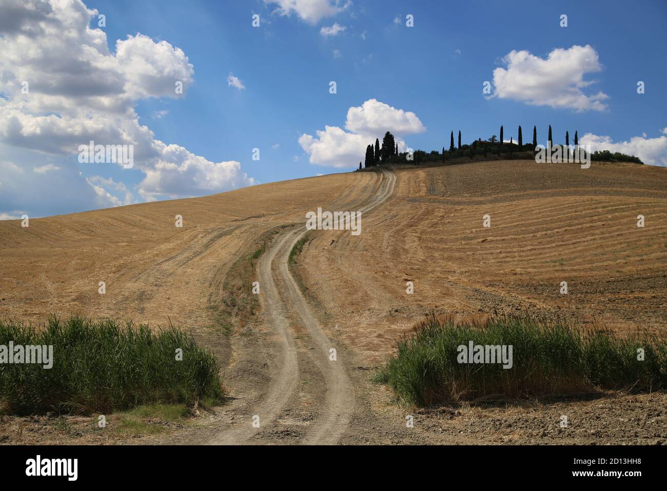 Traditional landscape of the Tuscany , Italy Stock Photo - Alamy