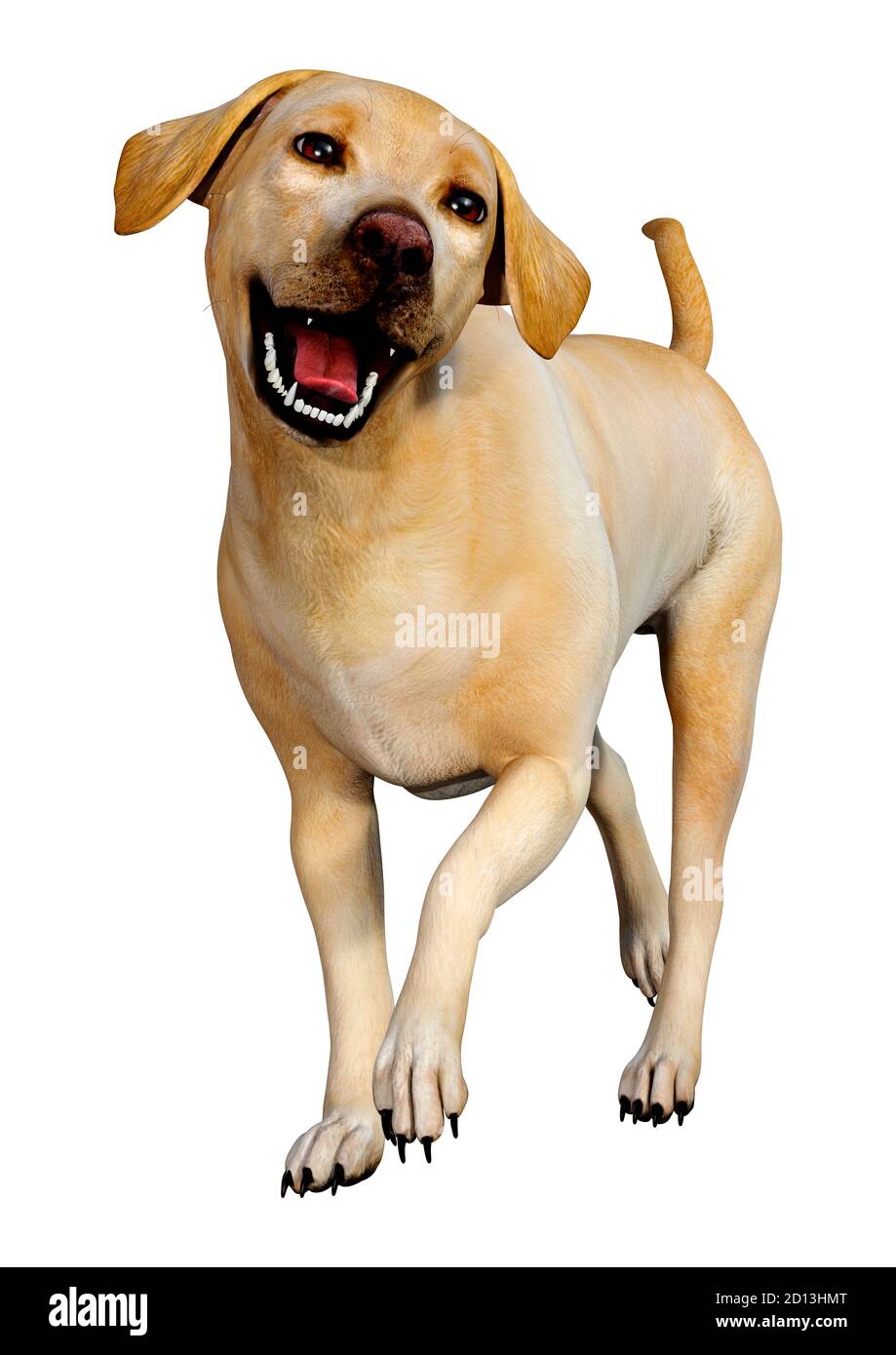 3D rendering of a yellow labrador dog isolated on white background ...