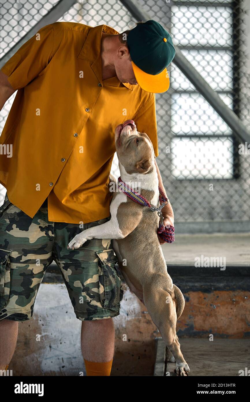 American bully snow hi-res stock photography and images - Alamy