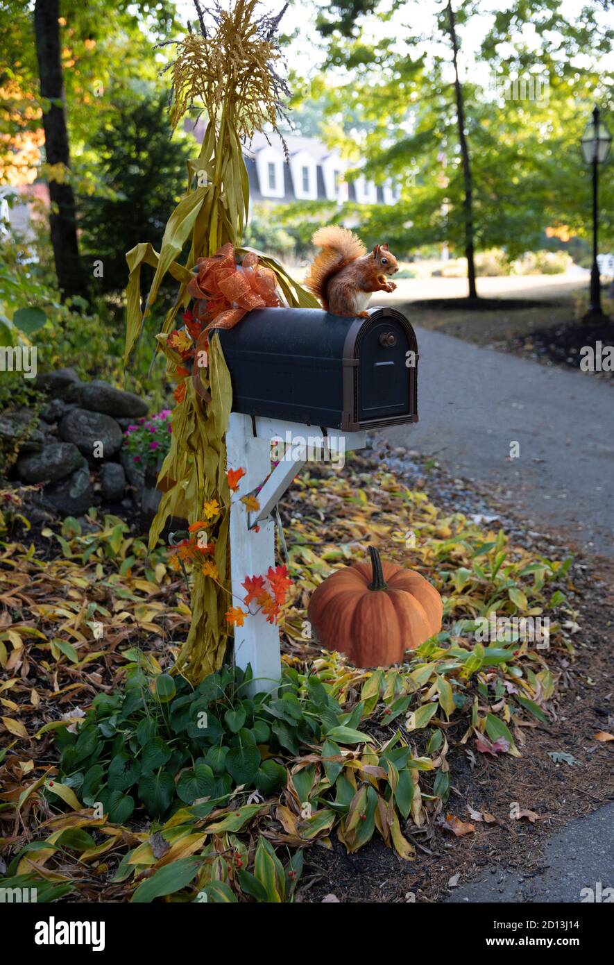 Fall mail box hi-res stock photography and images - Alamy