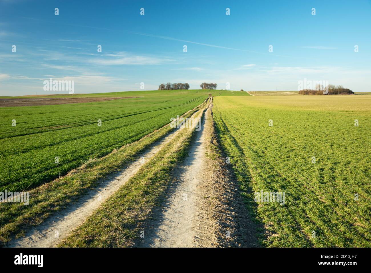 Long dirt road and green field, horizon and sky Stock Photo - Alamy