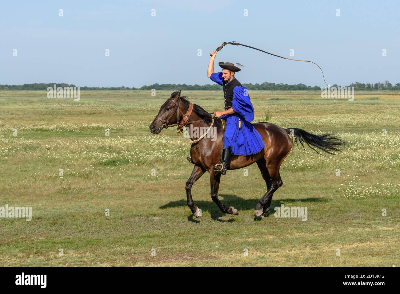 A Hungarian csikos / cowboy cracks his whip while riding his horse ...