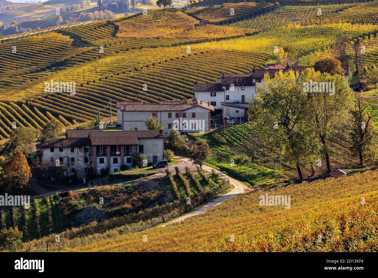 View of rural houses among colorful autumnal vineyards on the hills of ...