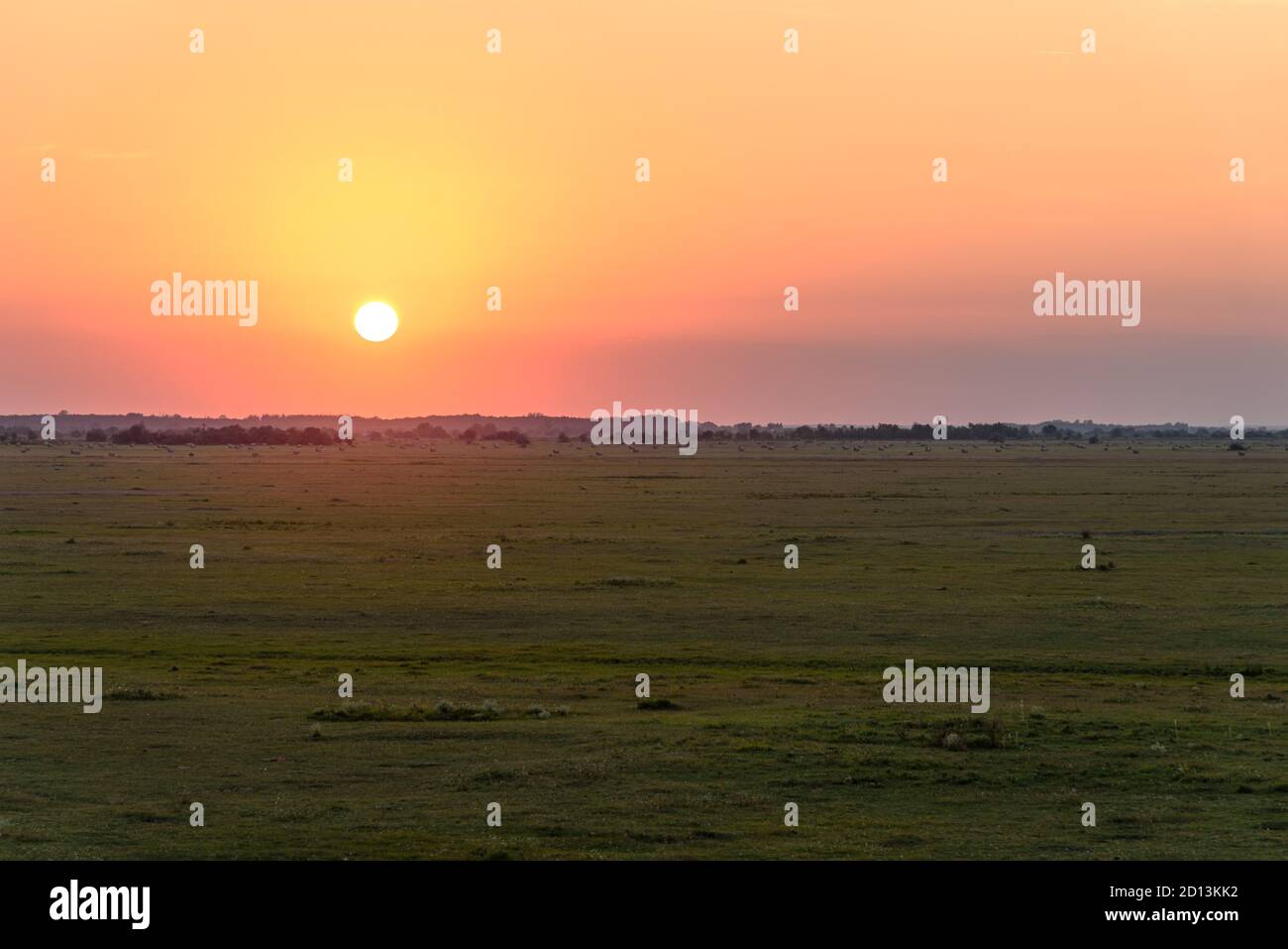 Hortobagy puszta hi-res stock photography and images - Alamy