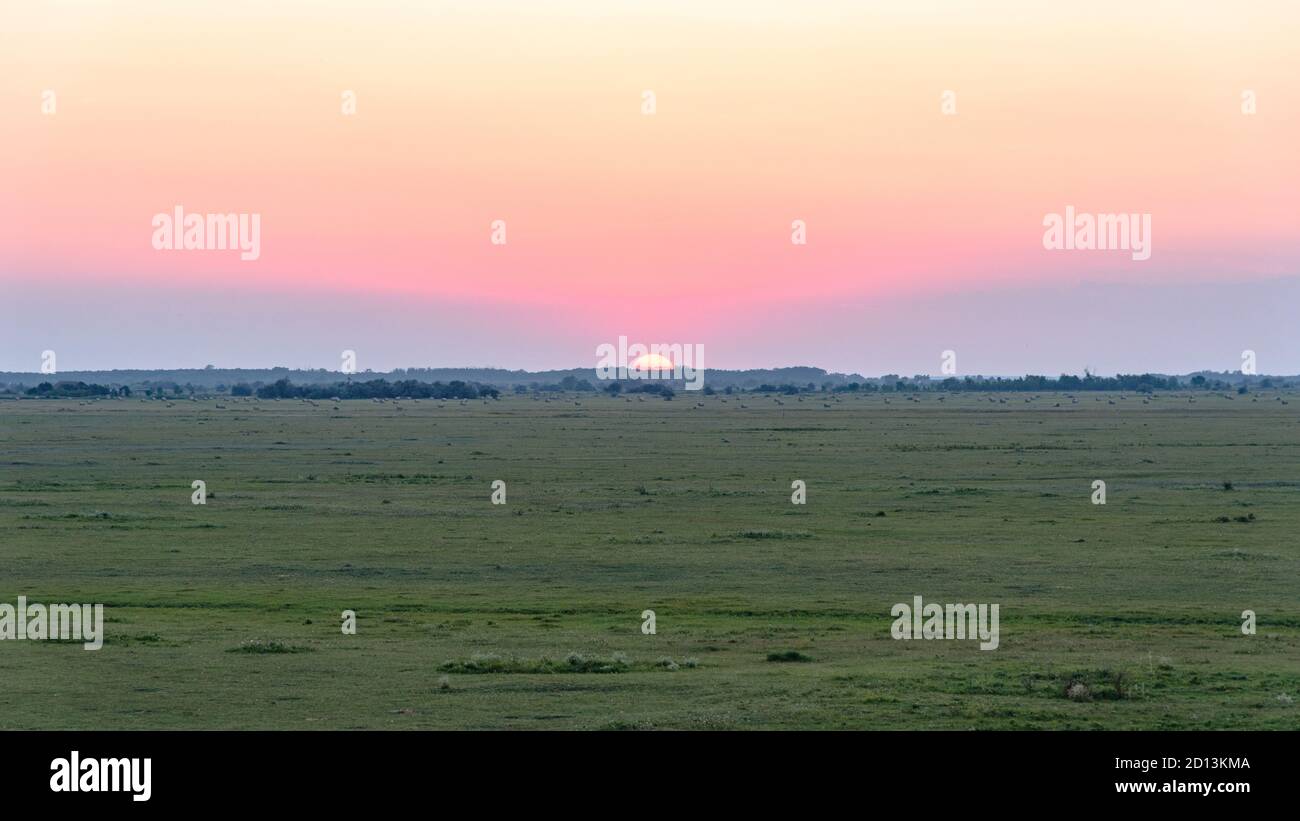 Great Hungarian Plain