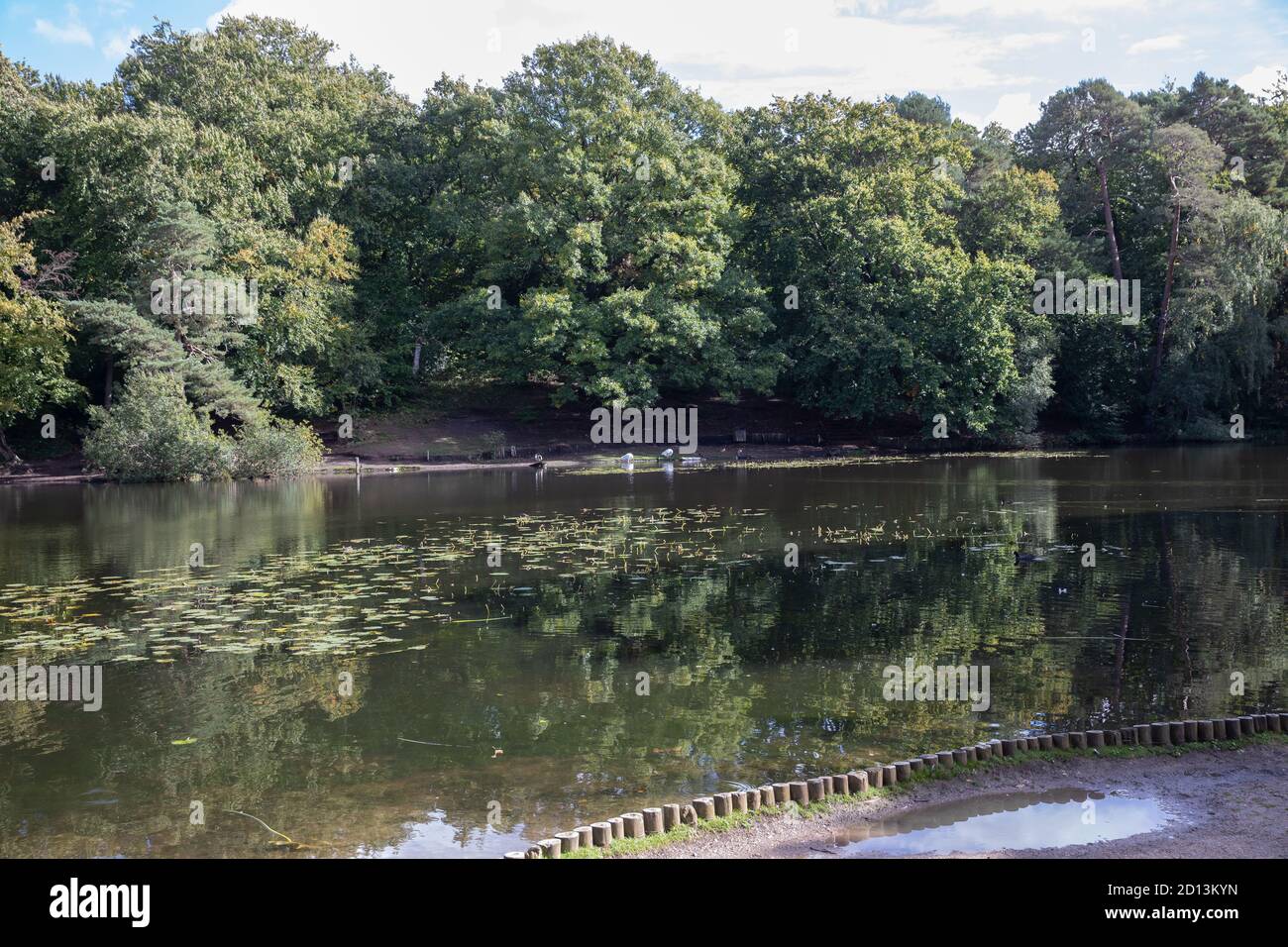 Keston,Bromley,UK,5th October 2020,Reflections caused by the glorious ...
