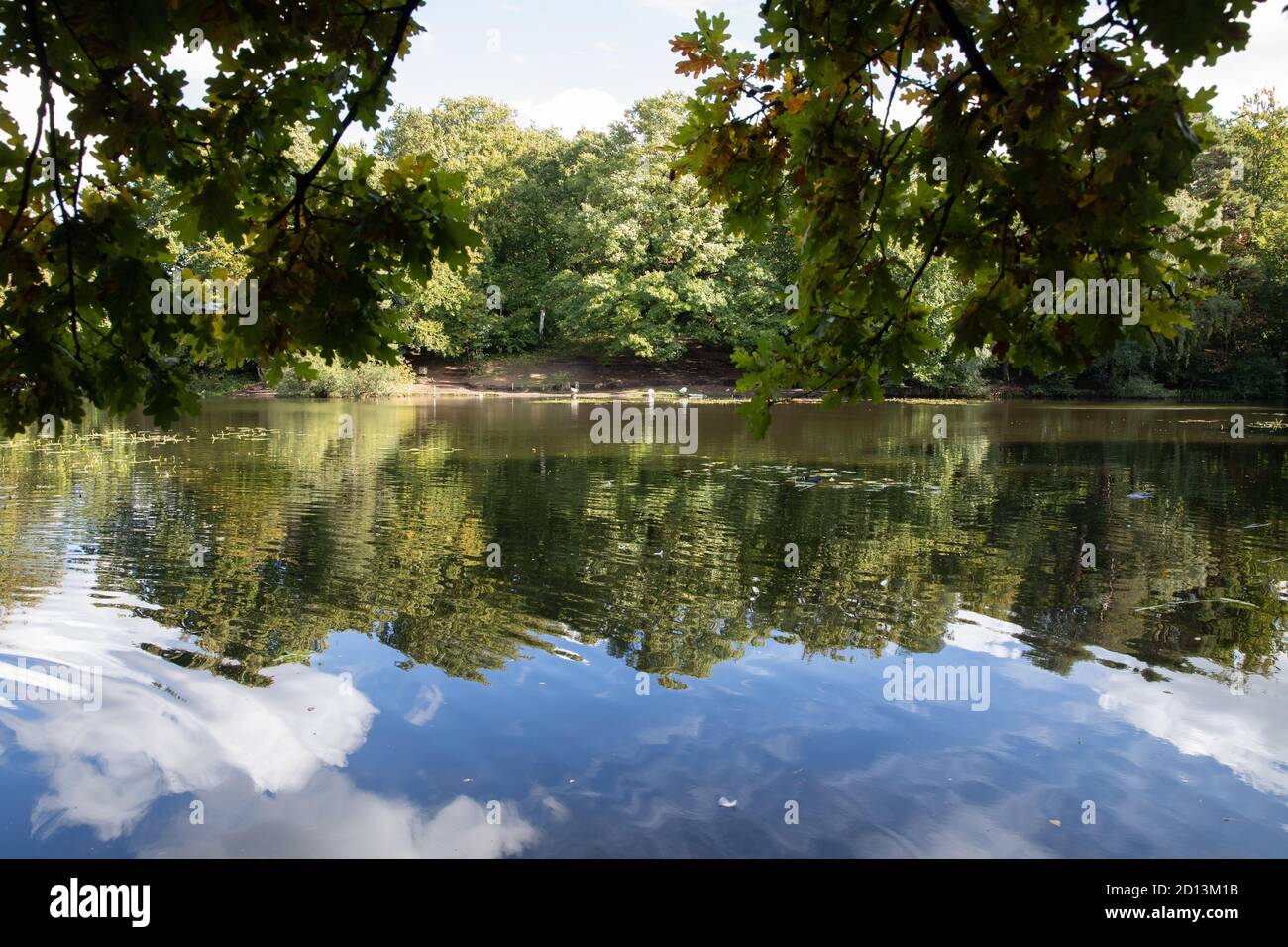 Keston ponds bromley hi-res stock photography and images - Alamy
