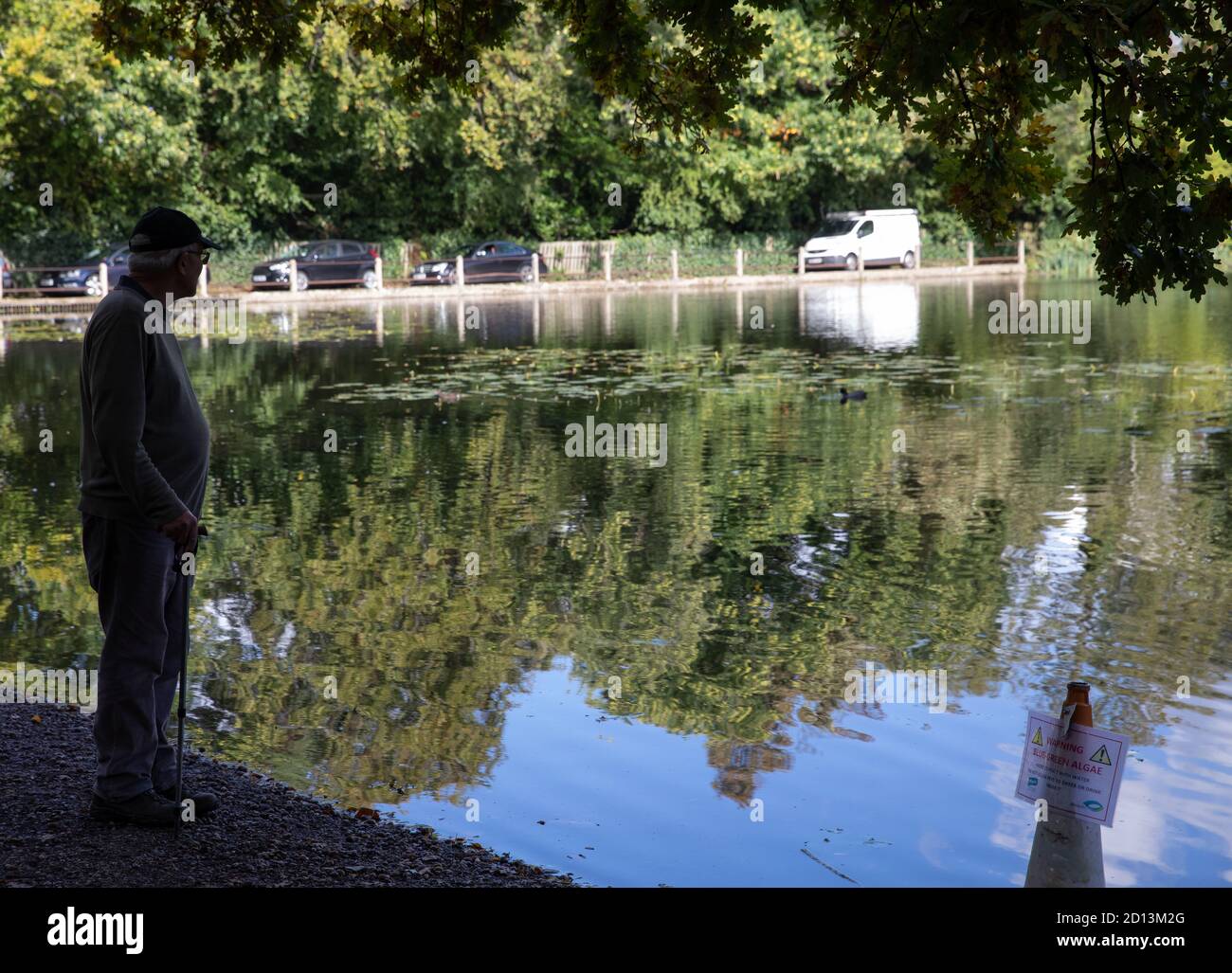 Keston ponds, bromley kent hi-res stock photography and images - Alamy