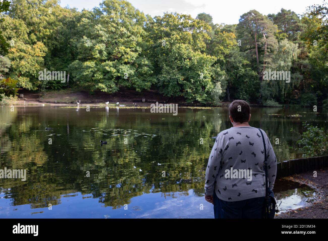 Keston ponds, bromley kent hi-res stock photography and images - Alamy