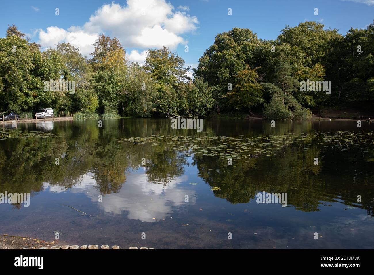 Keston ponds bromley hi-res stock photography and images - Alamy