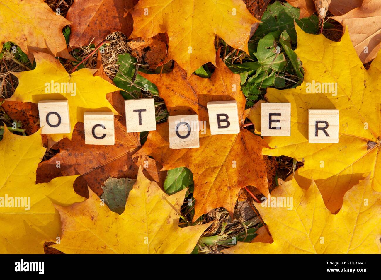 The word October is written in wooden letters on a background of fallen ...