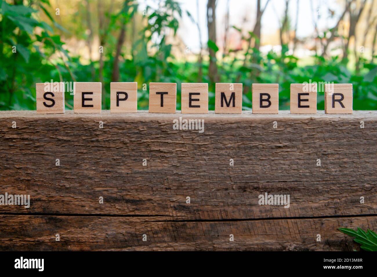 The word september is written in wooden letters background. Autumn ...
