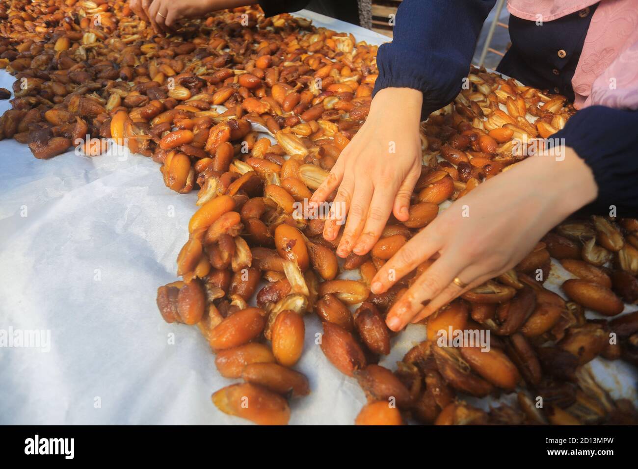 Deir Al-Balah, The Gaza Strip, Palestine. 5th Oct, 2020. Palestinian ...