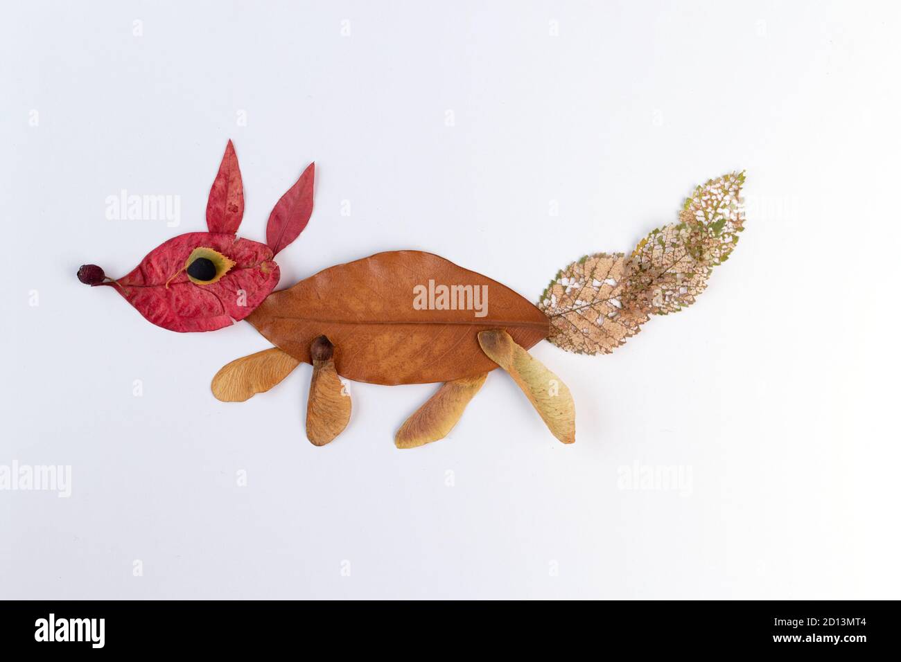 Fox collage element hi-res stock photography and images - Alamy