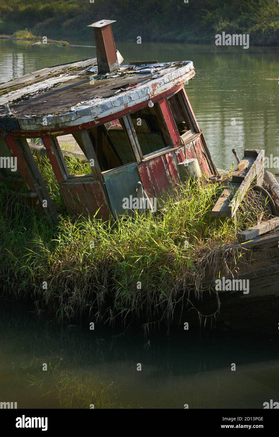 Decaying Ship. Tall grass takes over an abandoned boat on the river ...