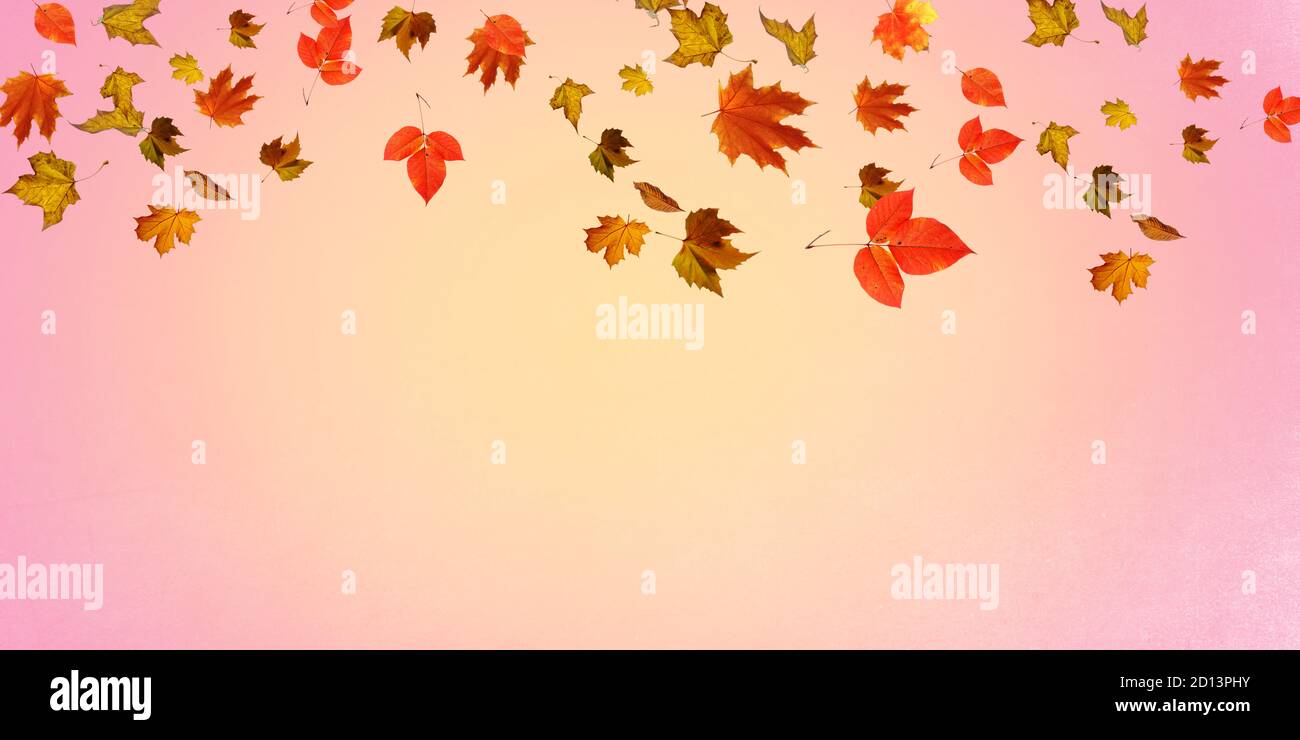 Coloured background fade hi-res stock photography and images - Alamy