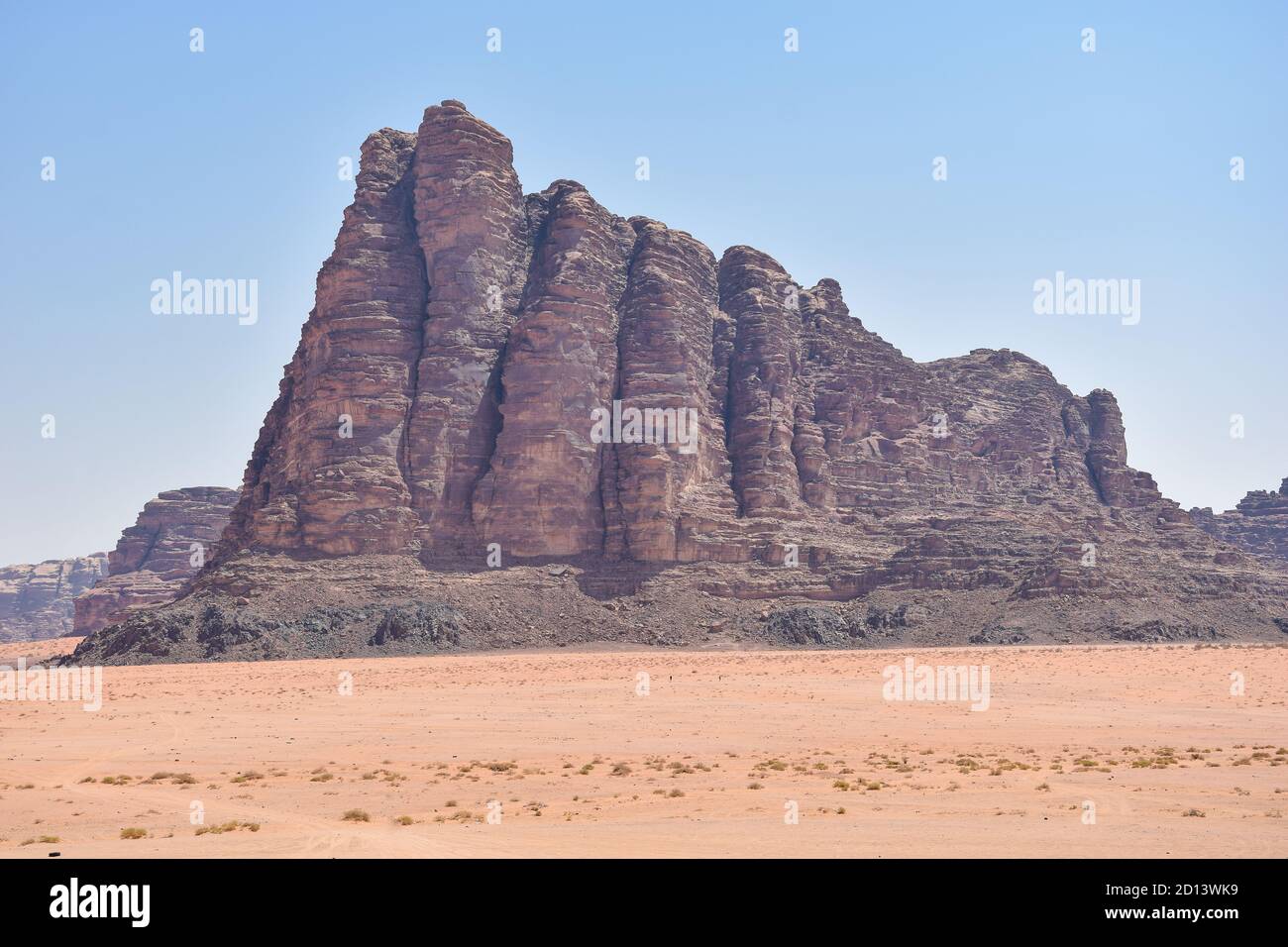 Wadi rum tree hi-res stock photography and images - Alamy