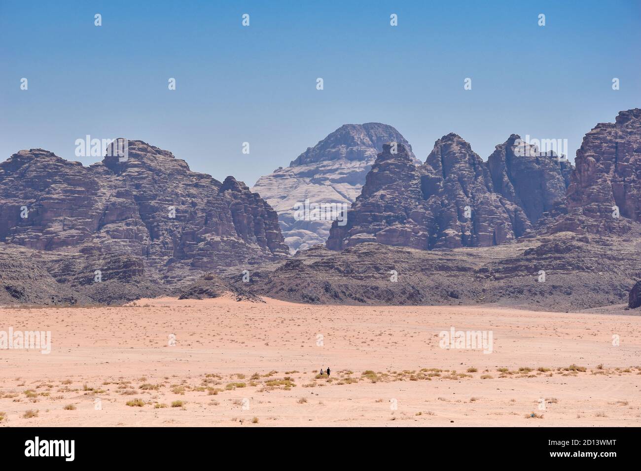 Wadi rum tree hi-res stock photography and images - Alamy