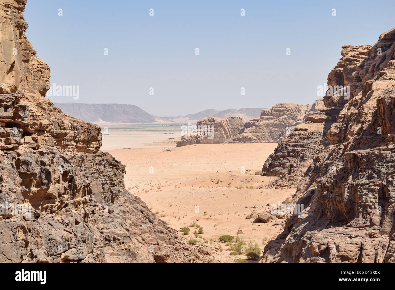 Jordan wadi rum tree hi-res stock photography and images - Alamy