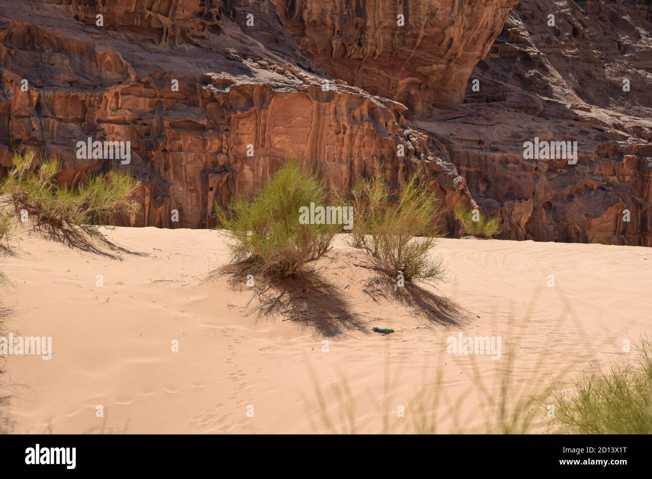 Wadi rum tour hi-res stock photography and images - Alamy