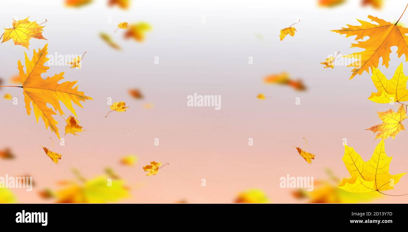 Coloured background fade hi-res stock photography and images - Alamy