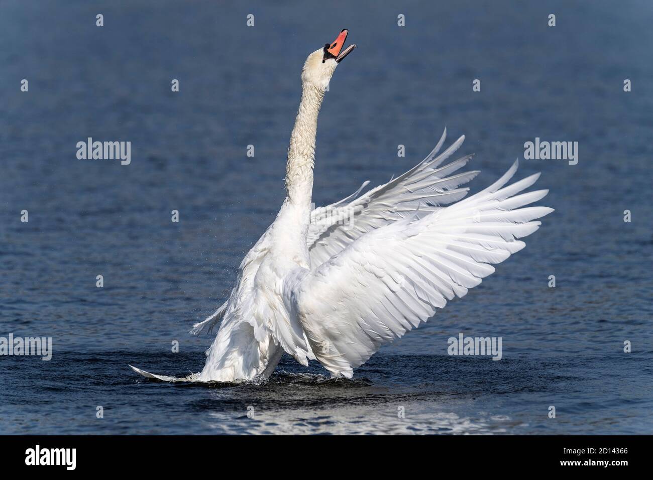 Take taking takes off hi-res stock photography and images - Alamy
