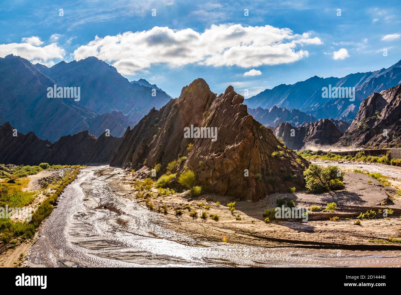 Beautiful puna andean landscape at brava lagoon reserve, la rioja ...